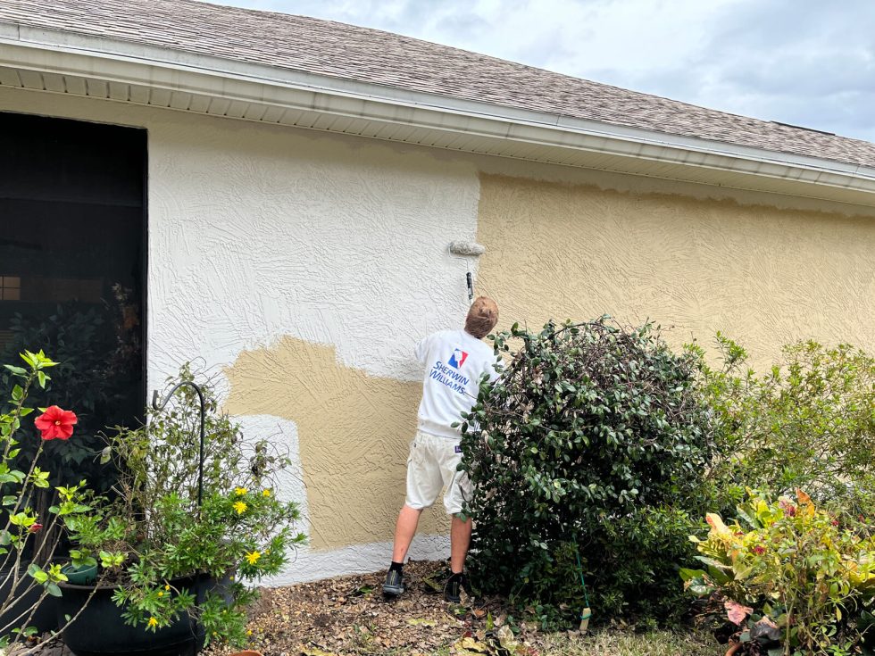 Repainting over dark or textured walls at home - Multicolor Paint